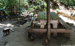 Philippines: Day 12 - Puerto Princesa Underground River tour, Palawan
